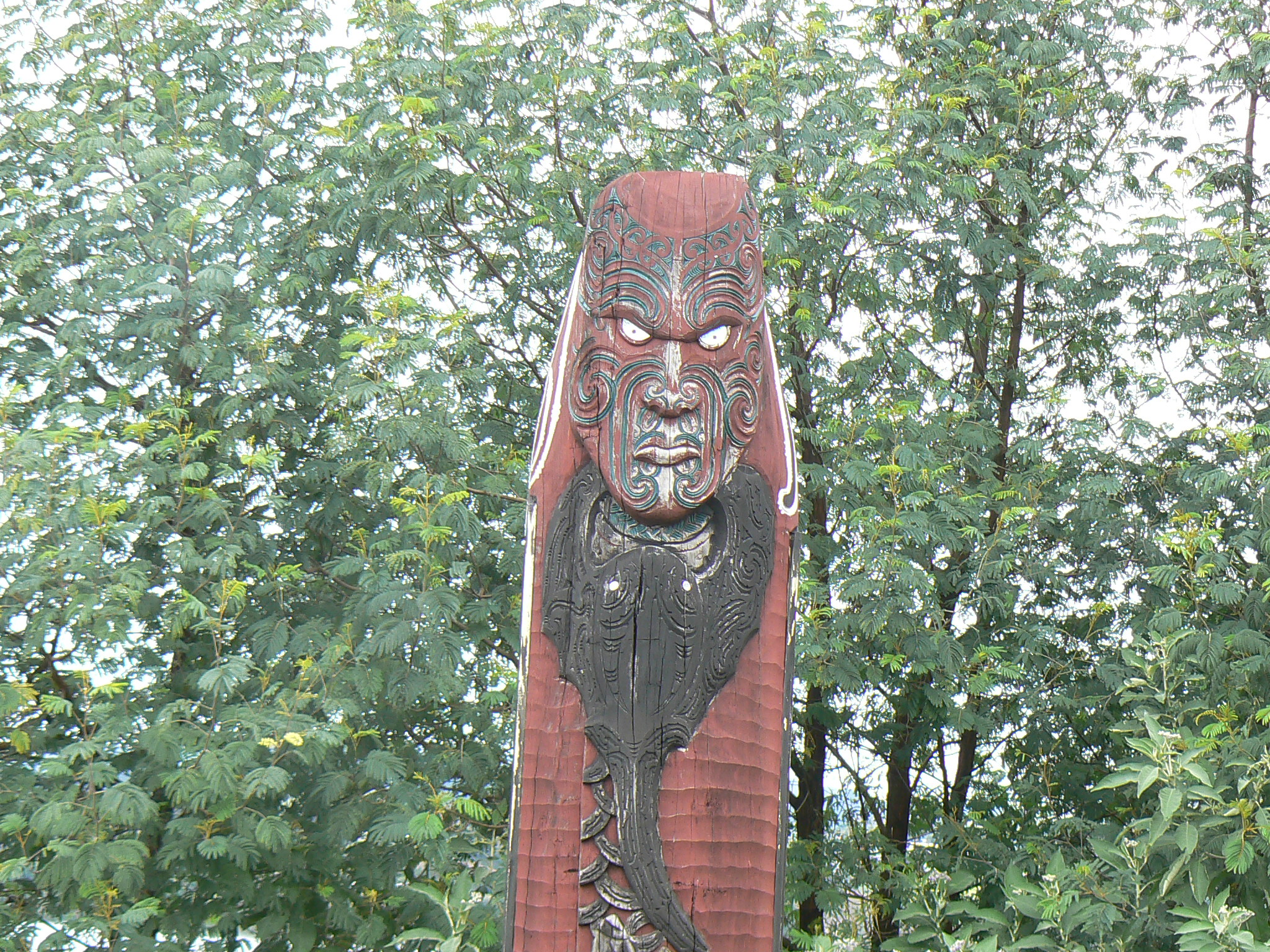 Maori Wards - Dr Tim Maltby