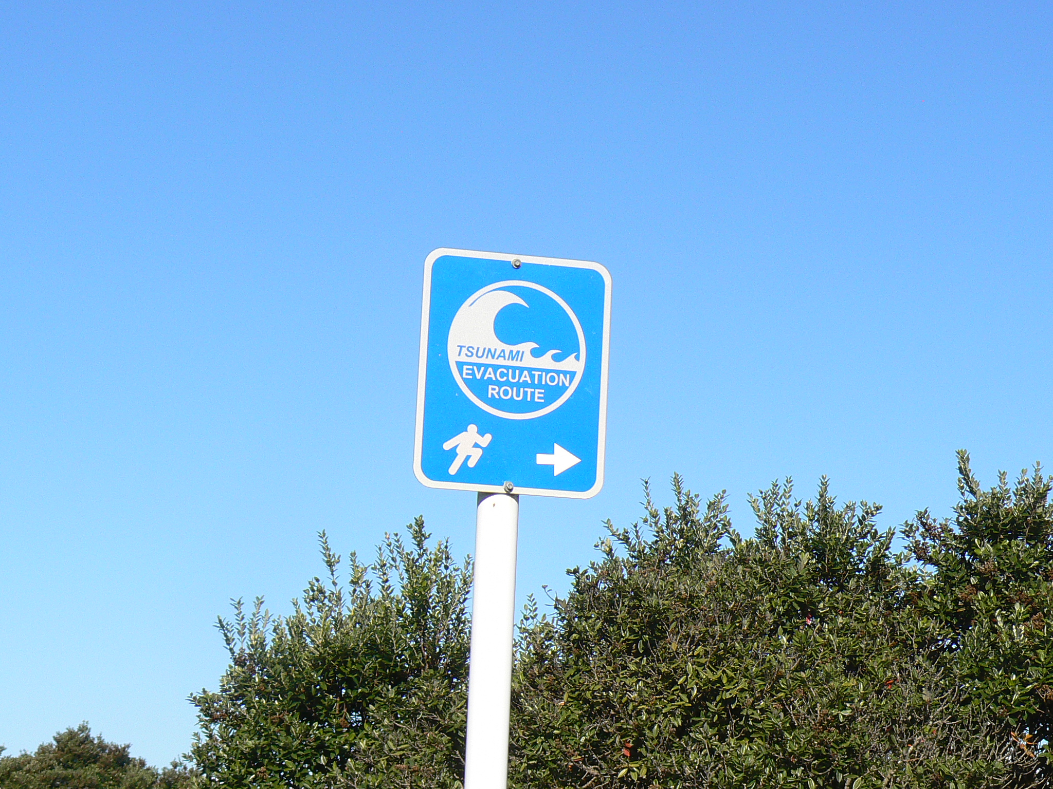 Tsunami Workshop Papamoa - Dr Tim Maltby